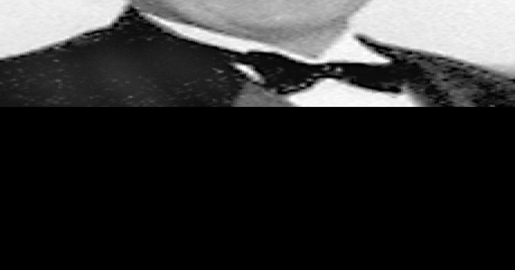 Pitt, Lou Lloyd Jr.