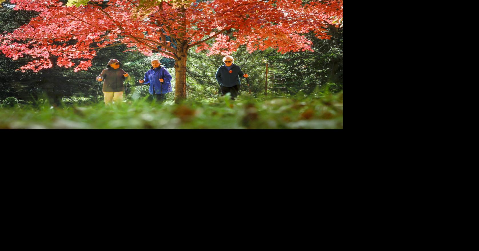 Wisconsin fall colors about to take center stage