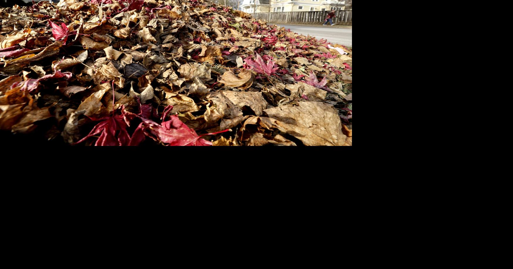 Madison sets spring yard waste collection schedule