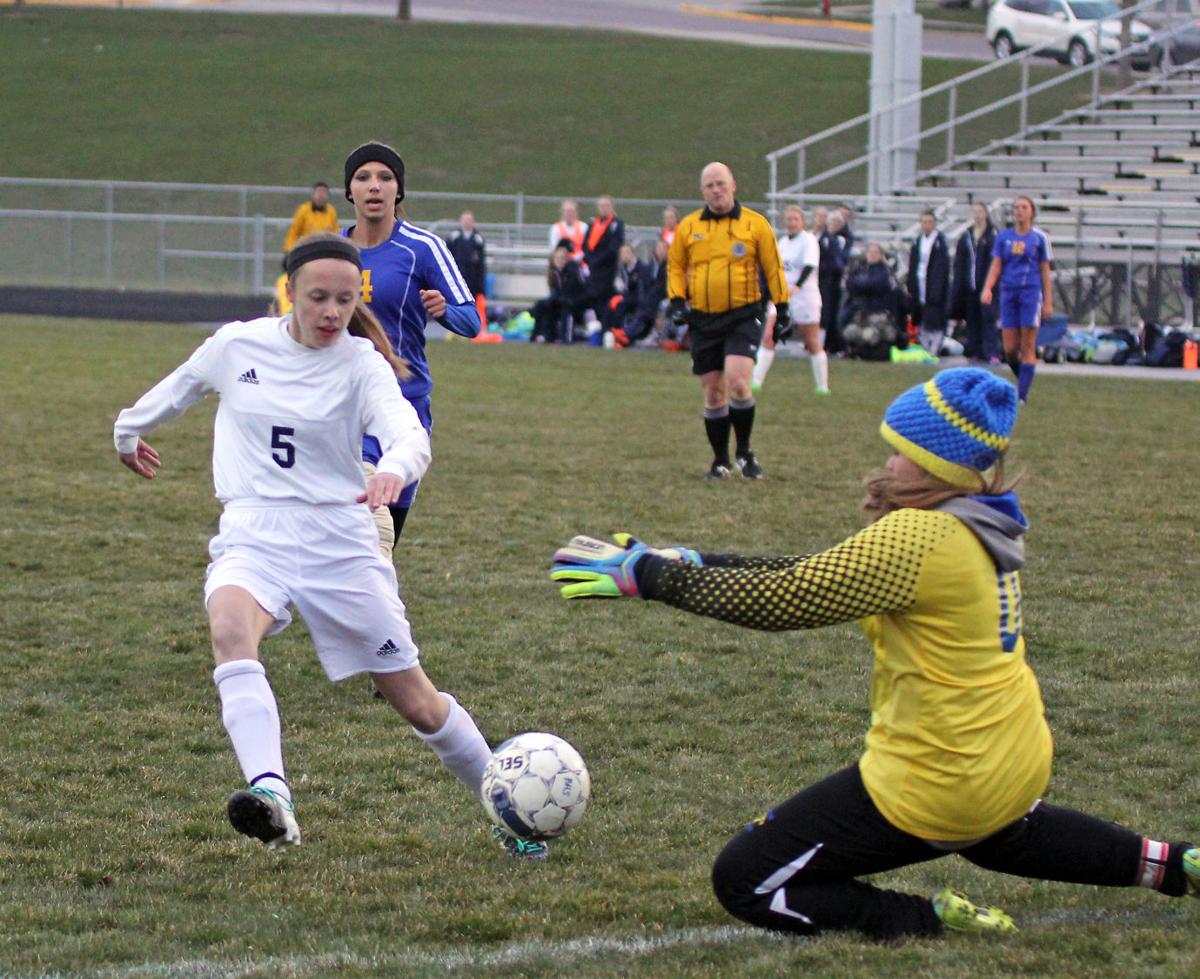 Prep sports roundup: Sun Prairie coach Rob Hamilton earns his 300th ...