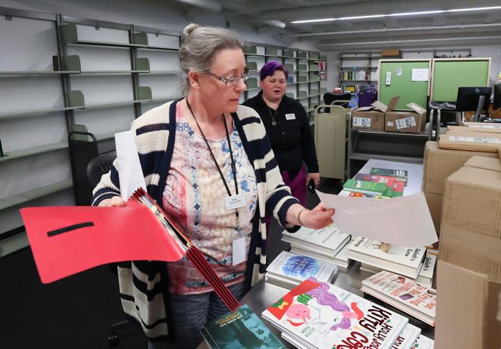 Most frequently checked-out items from Madison libraries