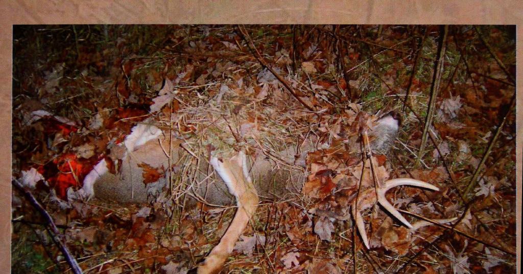 Fields and Forests: Warden Dewald's newest book a keeper