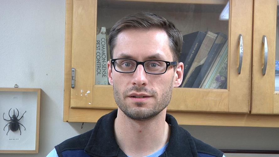 Blue Sky Science: What kinds of beetles use camouflage?