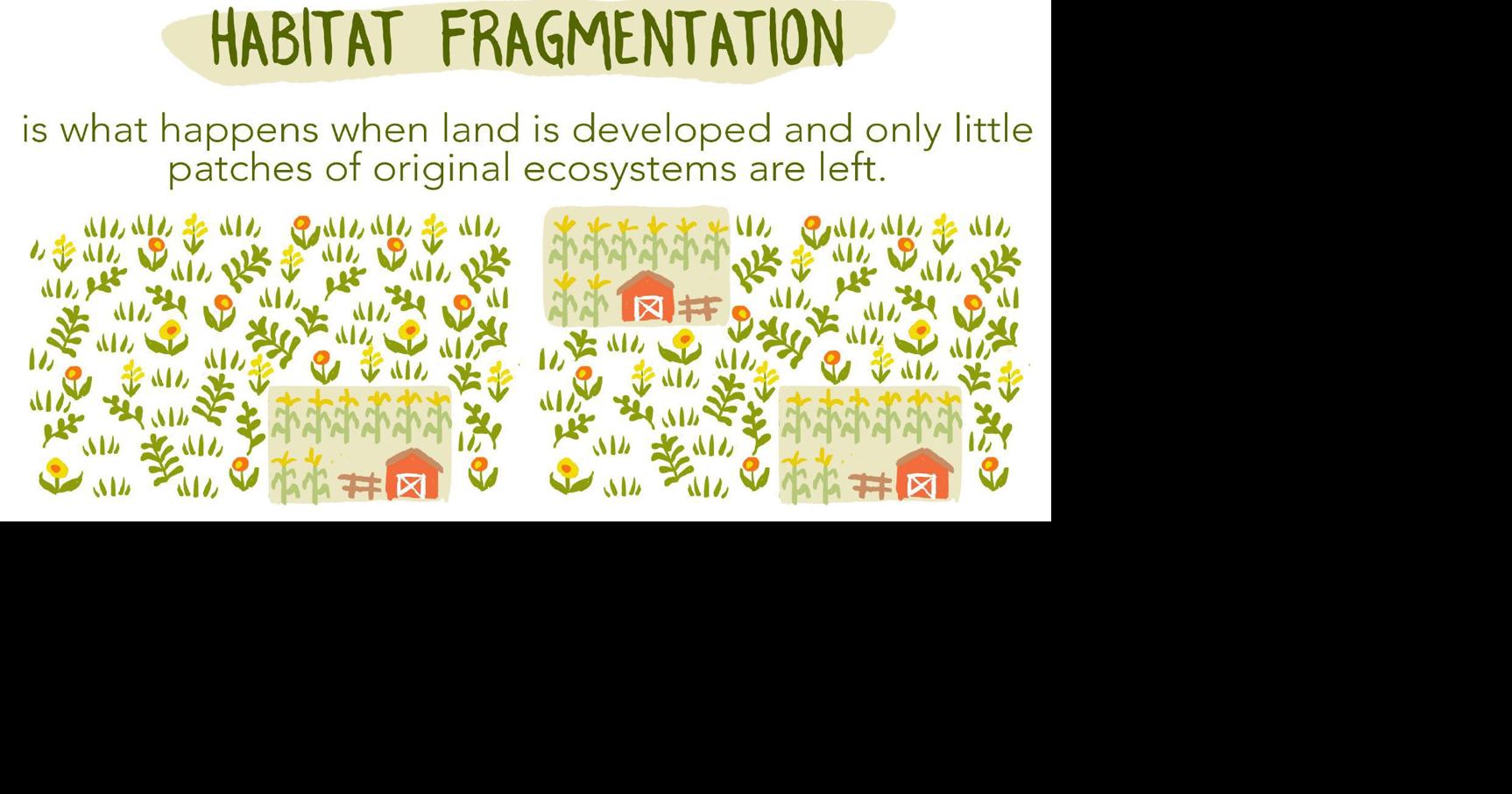 Habitat fragmentation study explained