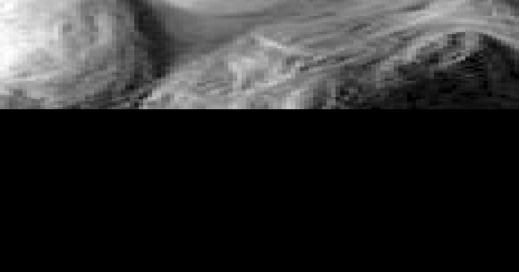 Warren, JoAnne Hauser