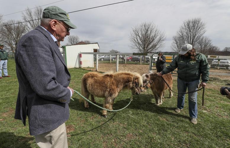 Founder of retirement thoroughbred farm in Kentucky announces he's ...