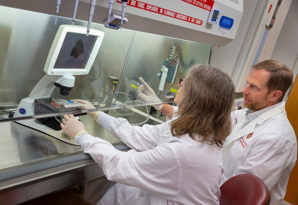 Fighting blindness with a lesson from the Wright brothers