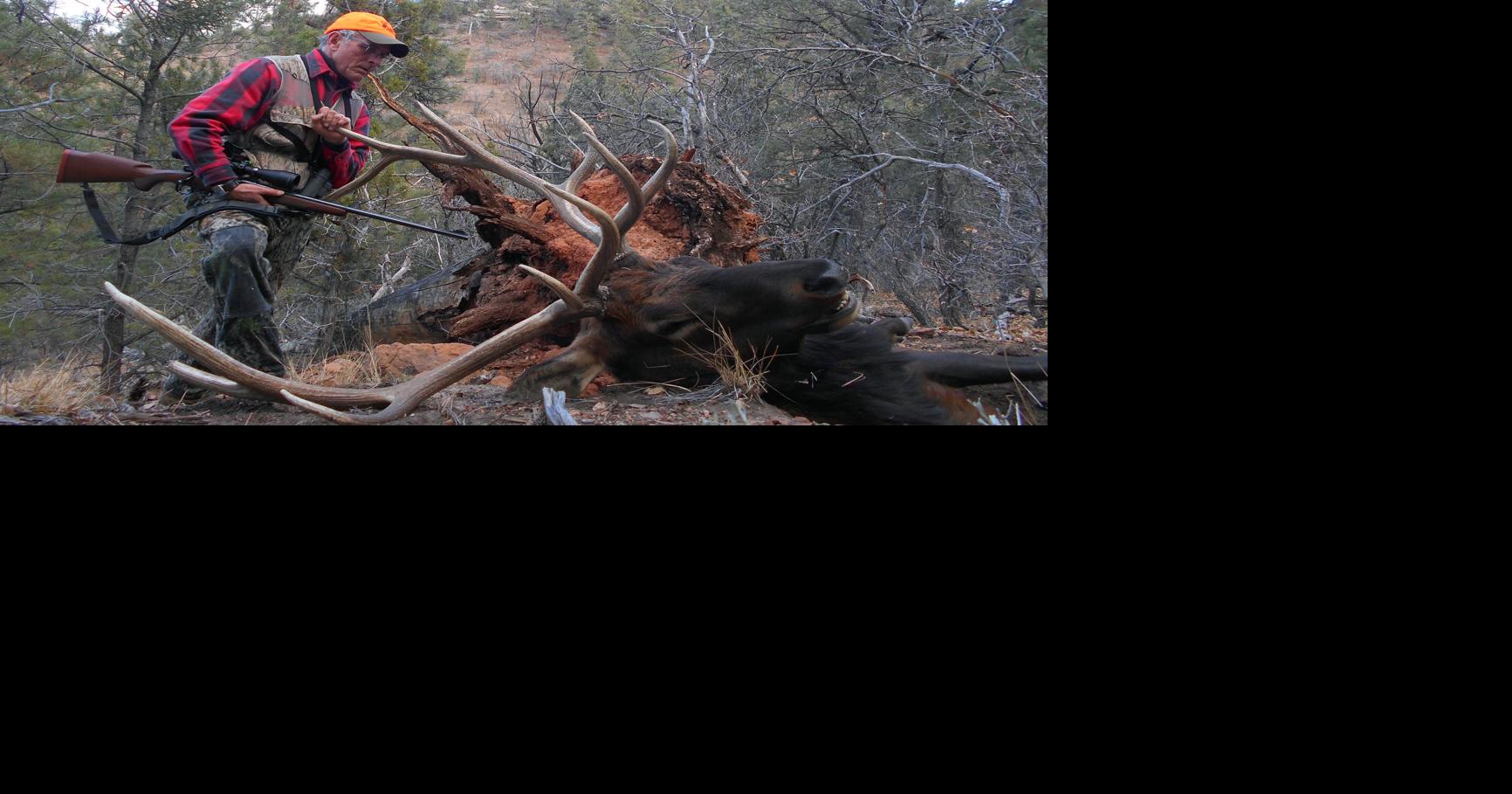 Wisconsin launches first elk hunt