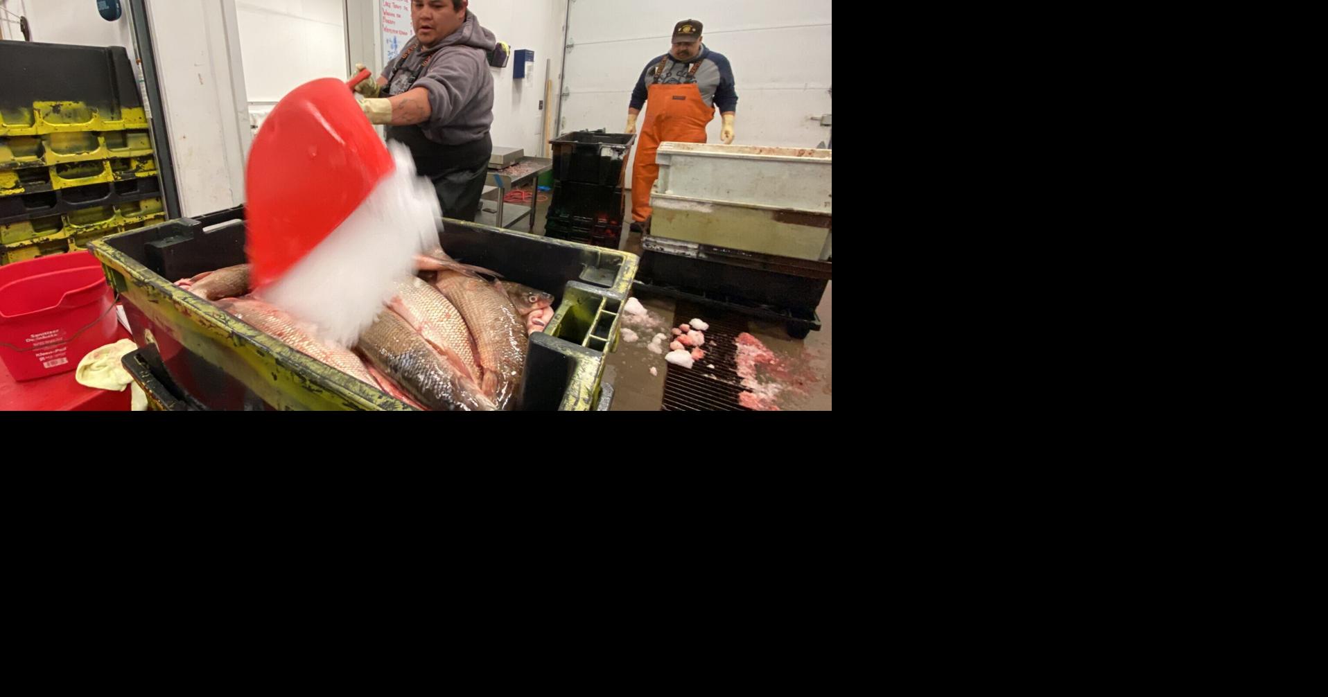 Photos: Red Cliff Fish Company