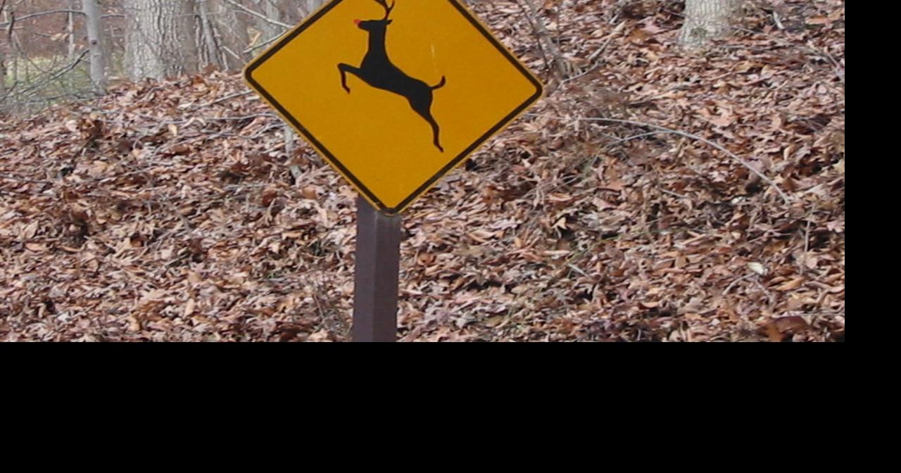 Madison man critically injured in crash of deer through windshield in ...