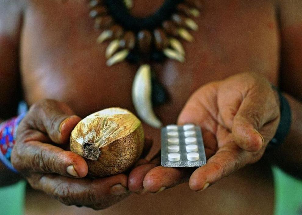 20 products you might not know are from the Amazon rainforest