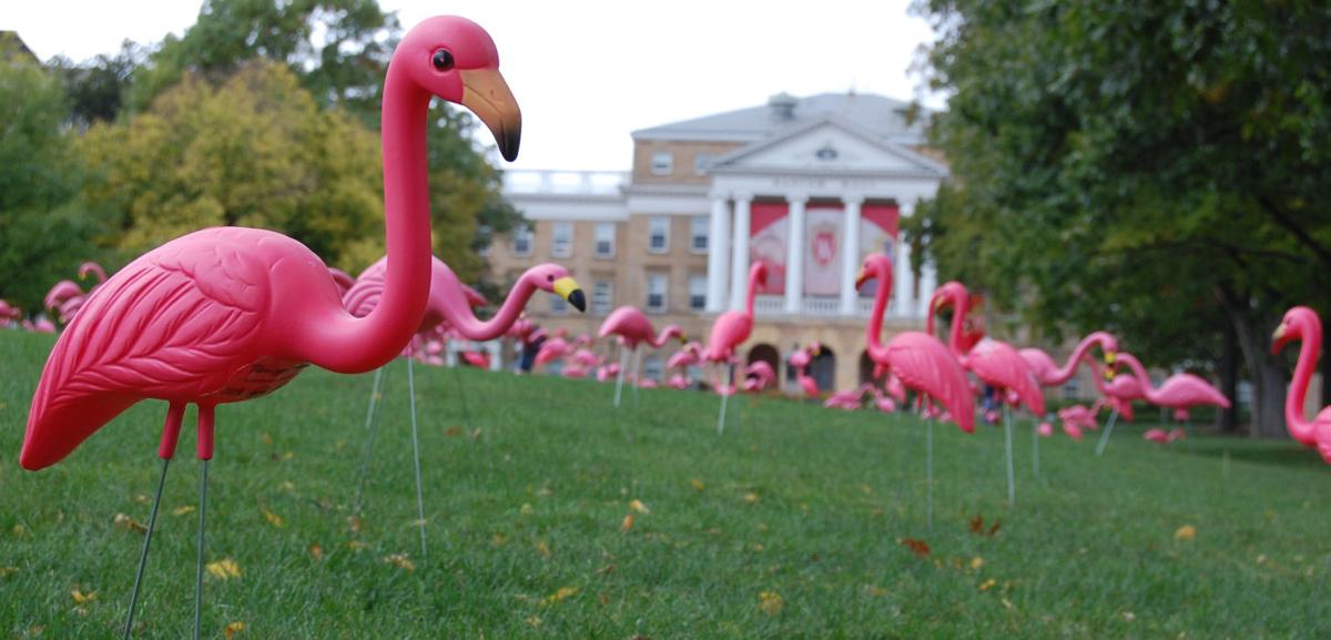Notable UW-Madison alumnus, prankster dies at 64