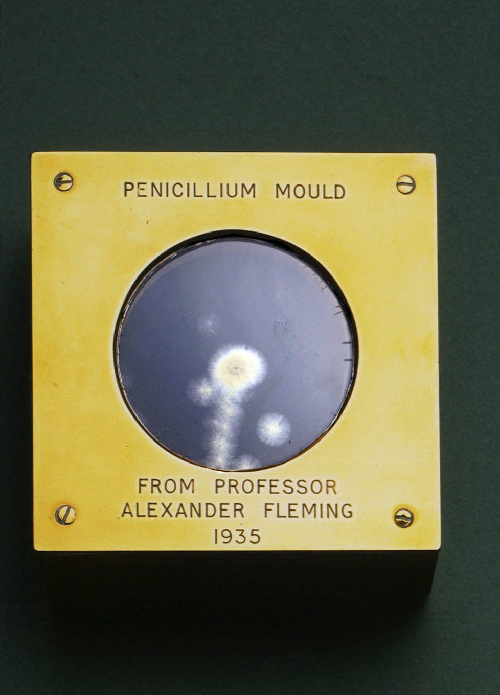 Today In History, Sept. 28: Penicillin