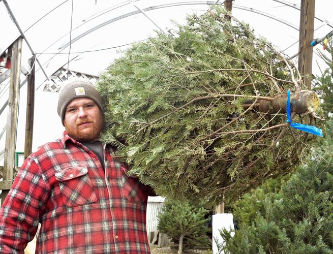 Franksville family has been selling Christmas trees the old-fashioned ...