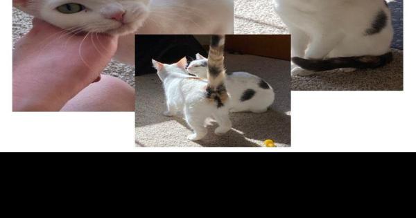 Morgan BONDED to Meri