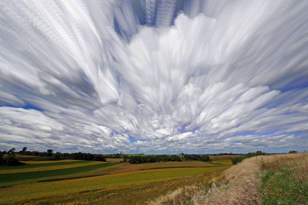 Summer from a Hilltop