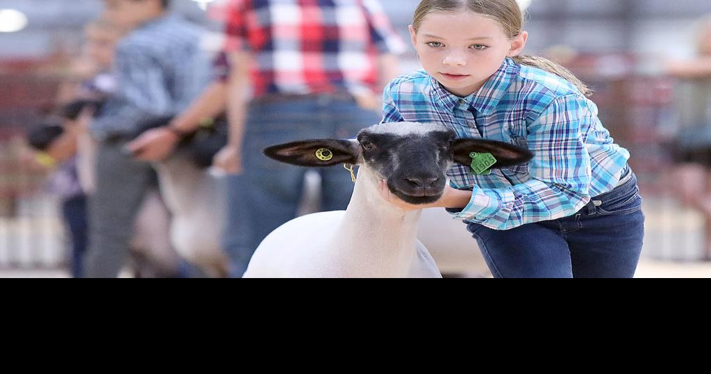 Sen. Howard Marklein: The fair must go on -- with precautions