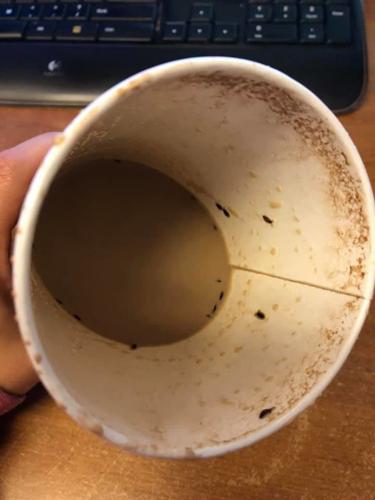 Dead bugs reportedly found in Skinny Mocha at Racine Starbucks