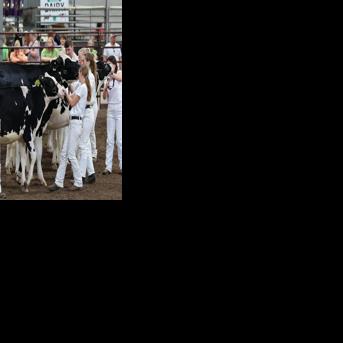 16 things to do in Madison this weekend