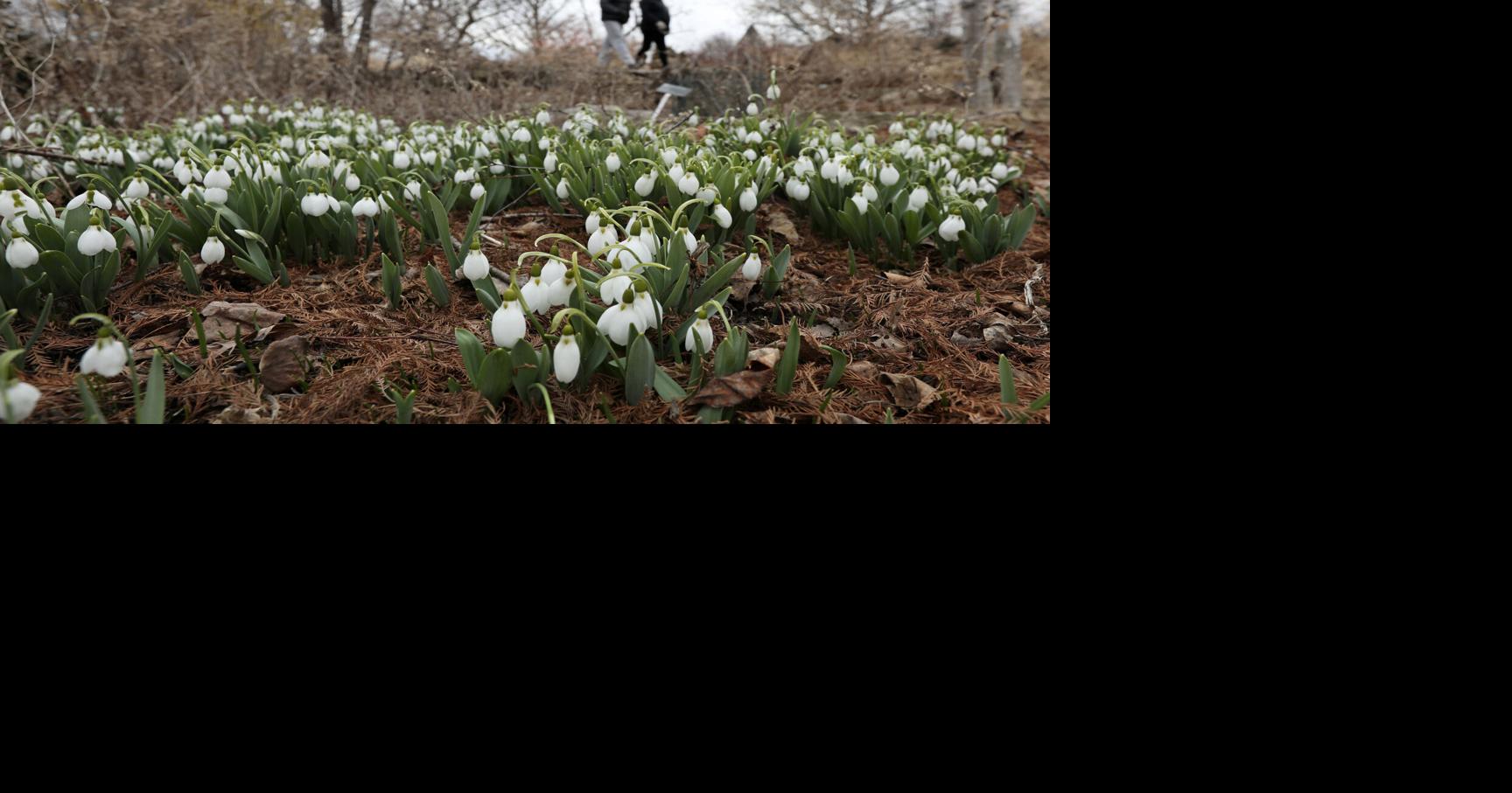 Spring starts today. Let's look back at the winter's snowfall totals