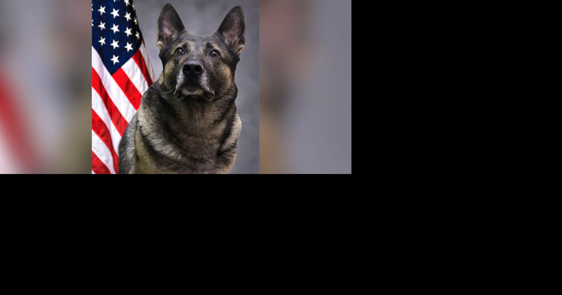 Monroe County K9 handler resigns after dog's death