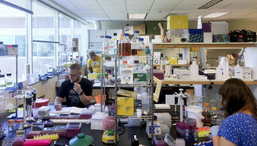 Madison startup Invenra lands partnership with Merck