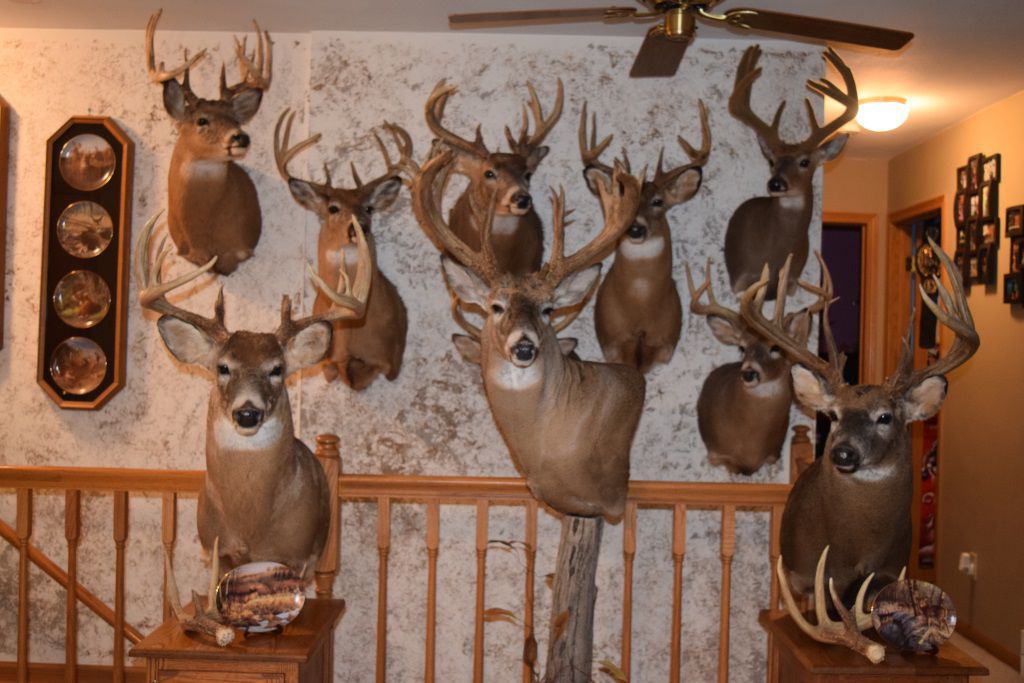 Big racks burgled in Brooklyn