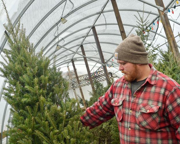 Franksville family has been selling Christmas trees the old-fashioned ...
