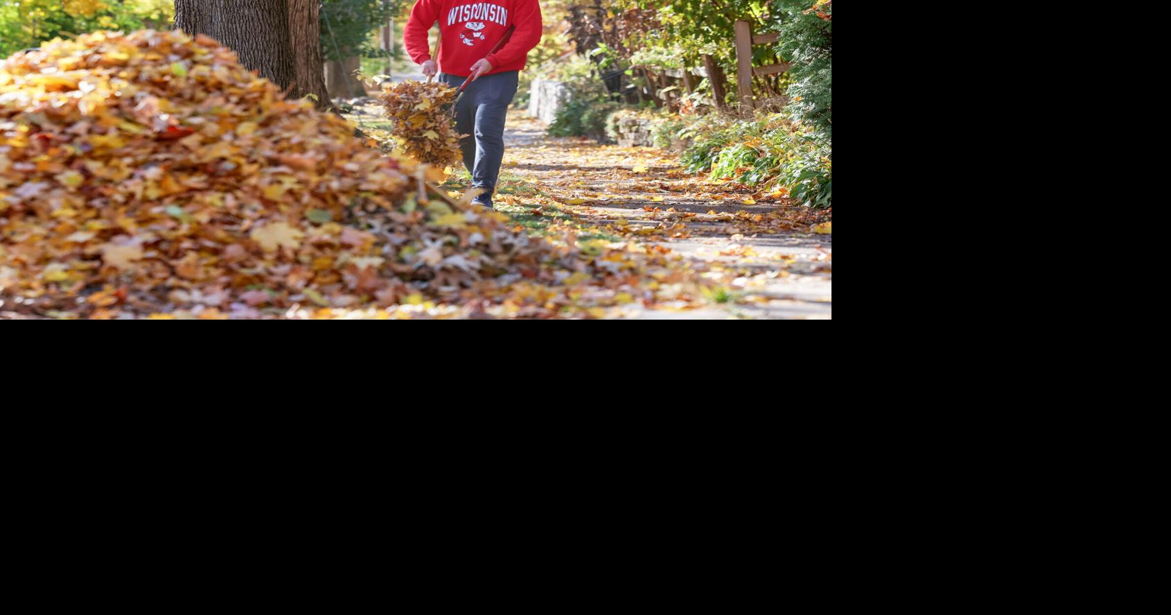 Madison leaf collection delayed due to anticipated snowstorm