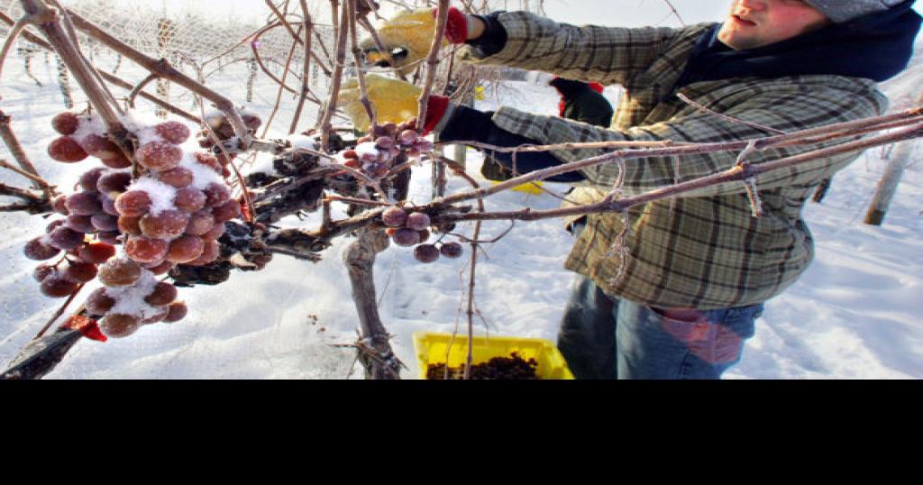 Sales continue to lag for Wisconsin-made wines