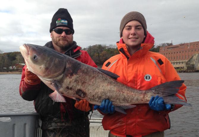 Editorial: Block the Asian carp with a concrete wall