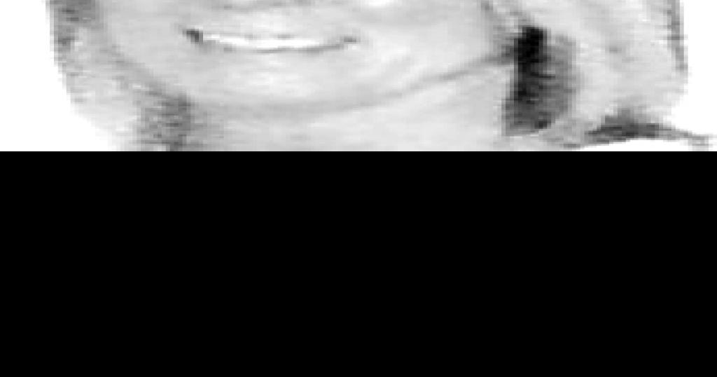 Francesca "Francie" Marie Weber