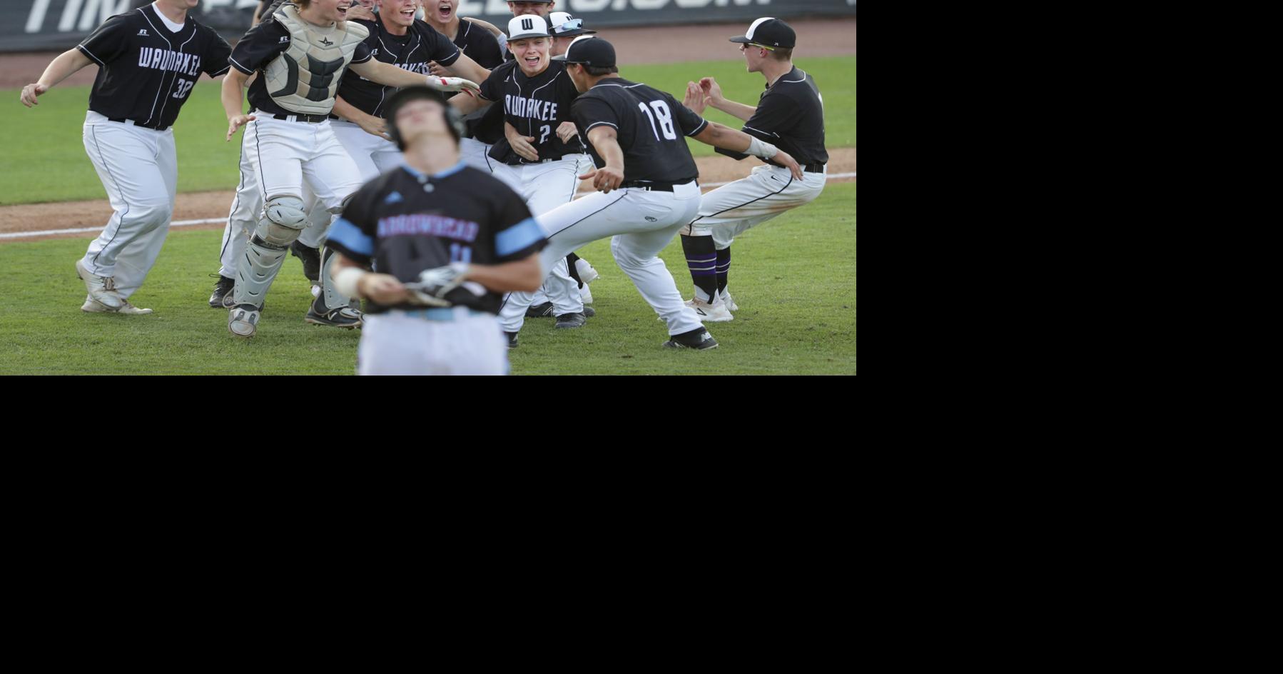 Photos: Waunakee wins Division 1 state baseball