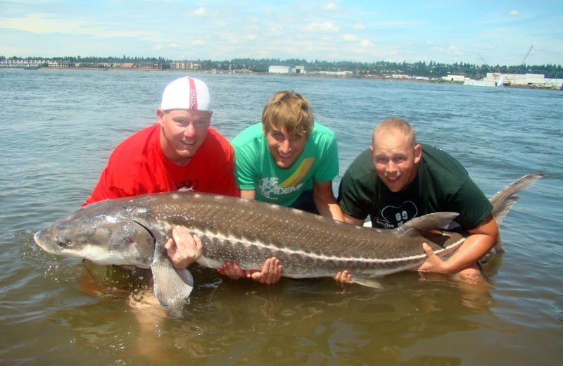 Outdoors: Wrangling with white sturgeon on Oregon's Columbia River