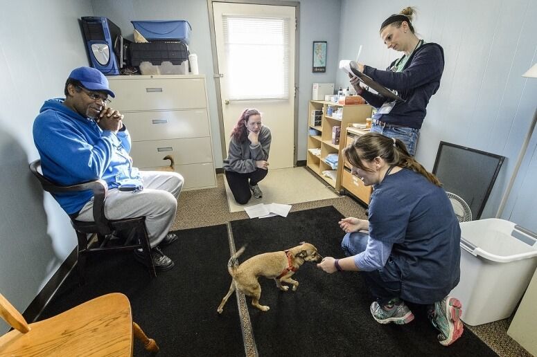 UW Veterinary Medicine School program cares for homeless people and ...