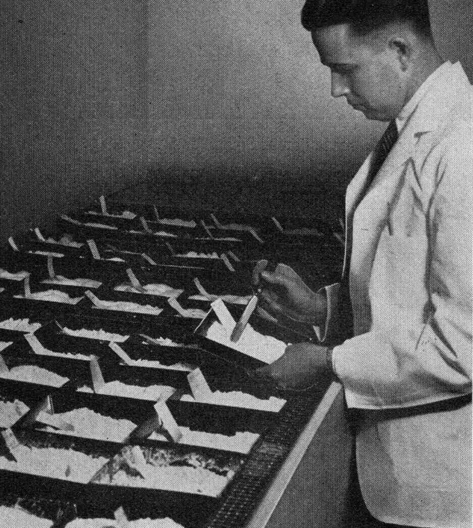 WARF, UW-Madison's tech transfer arm, celebrates 100 years