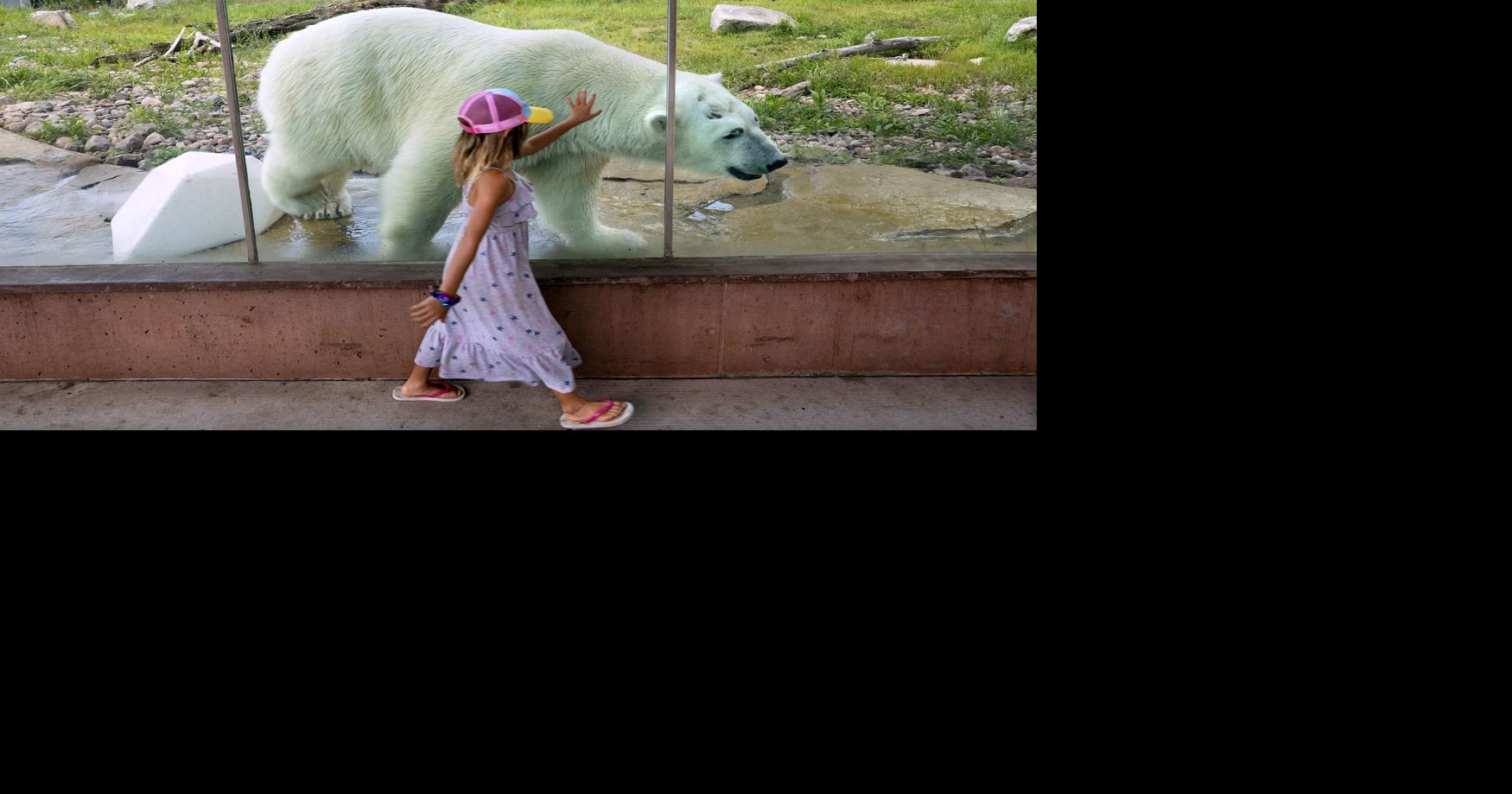 Zoo donation boxes at heart of another dispute between county, former ...