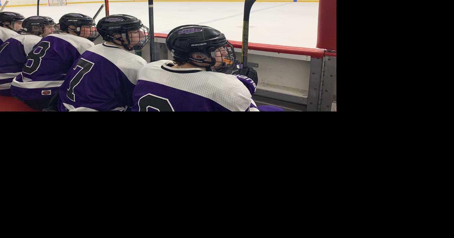 How Madison Edgewood's top line led the Crusaders back to the state ...