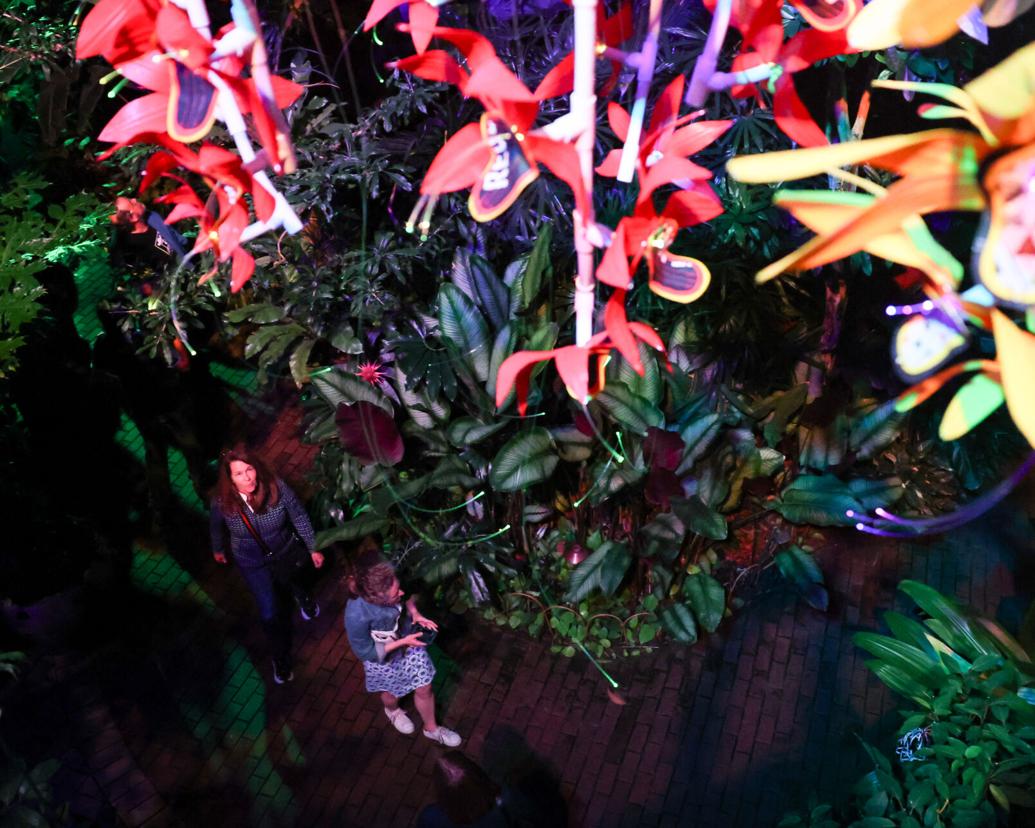 Photos: GLEAM returns to Olbrich Botanical Gardens