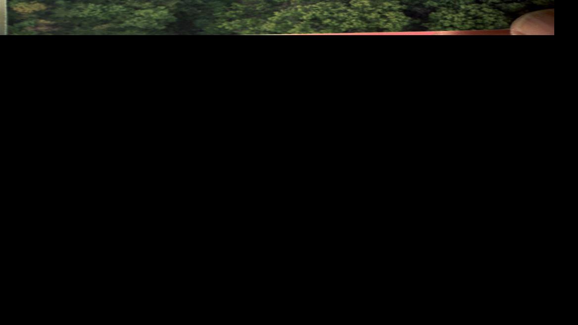 1994: USAir Flight 427 | | madison.com