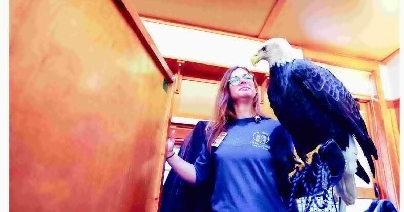 Meet Valkyrie, Eagle Watching Days’ headliner
