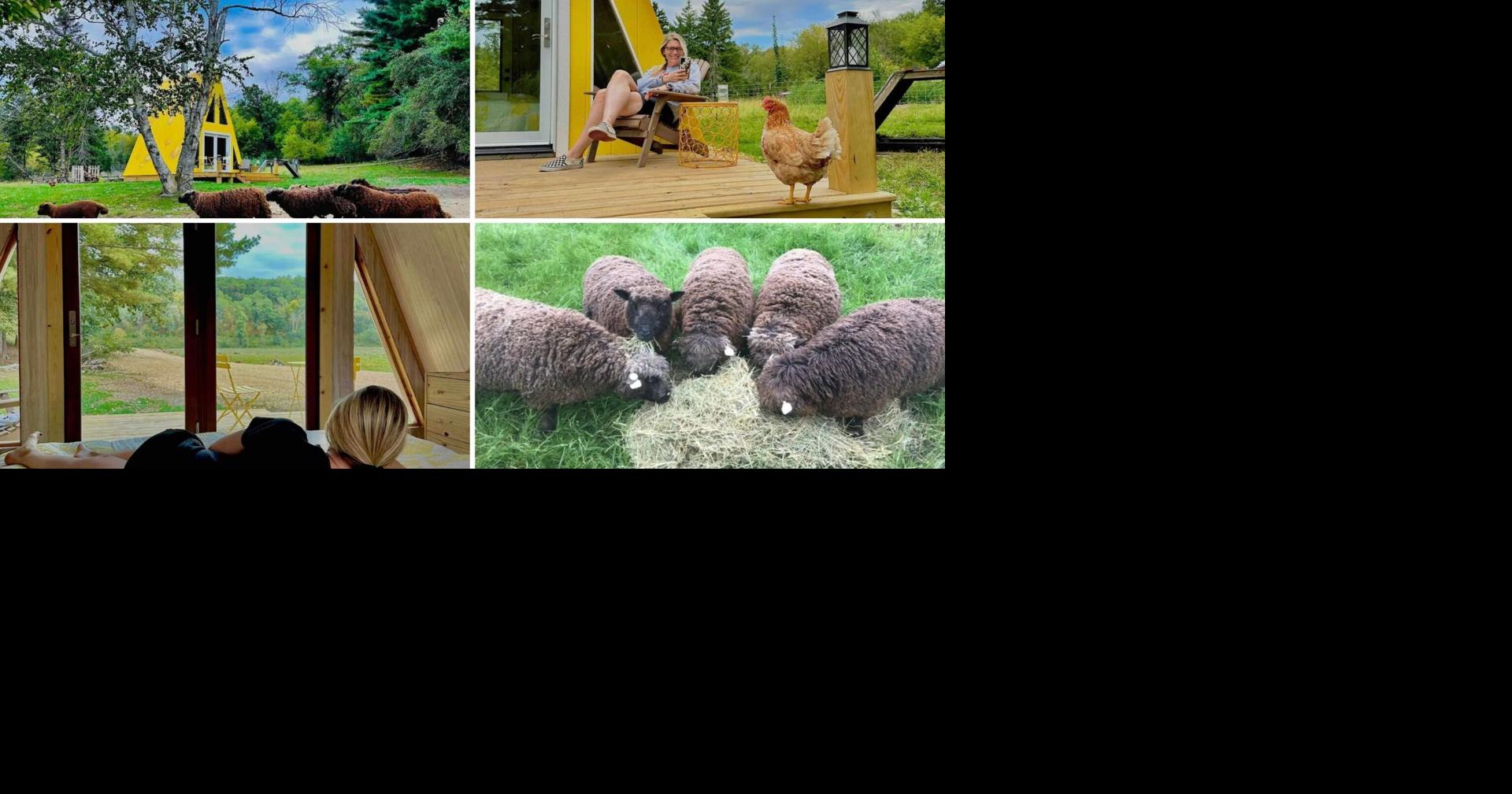 4. Cheese Wedge Cabin on an Idyllic Farm