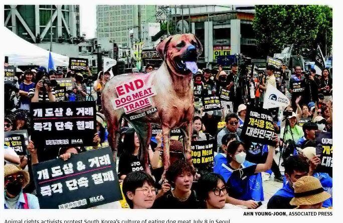 Dog meat farmers push back on regulations