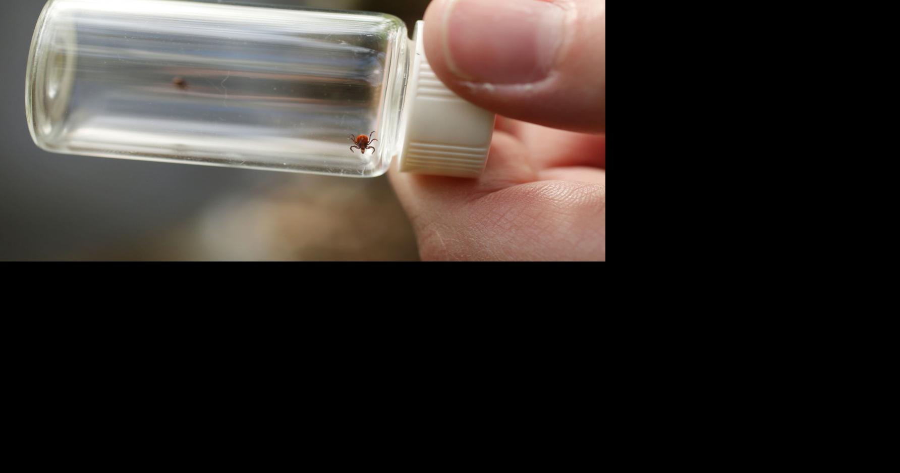 Tick season has arrived in Wisconsin. How to keep your pets safe