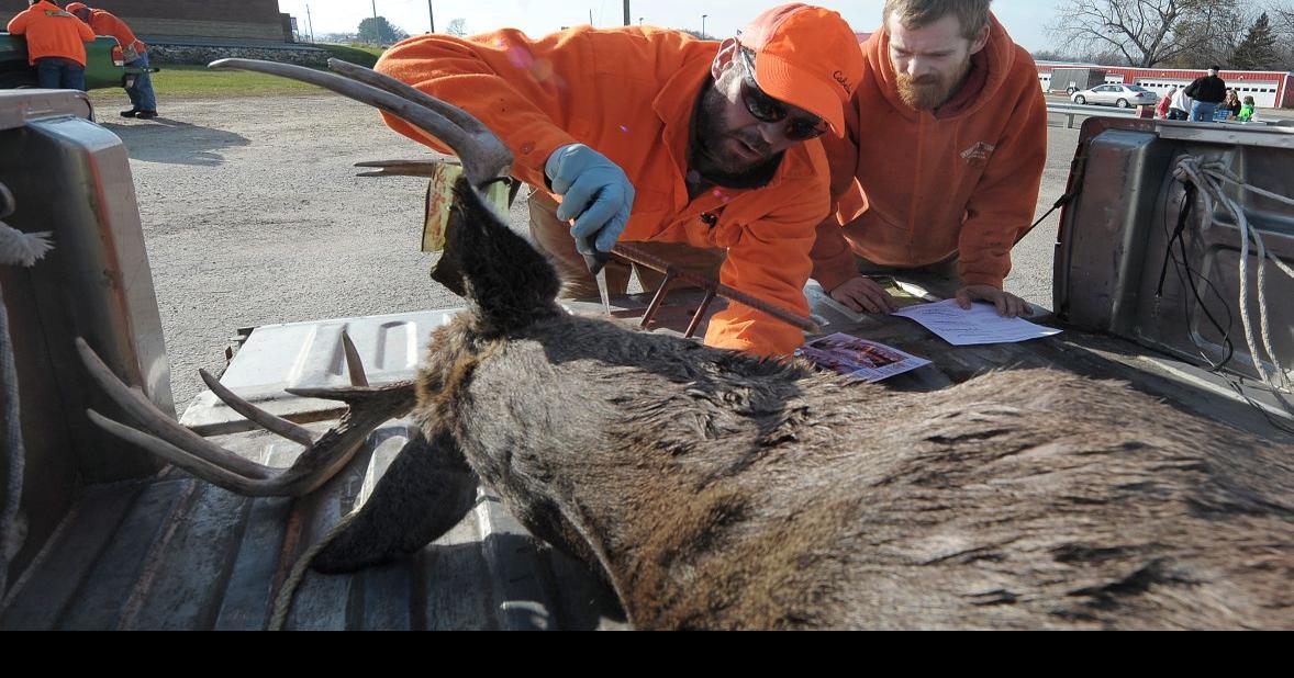 DNR to launch 5-year study on impact of CWD, predators on deer