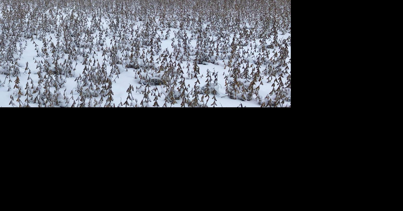 Saturday snow forecast drops for southern Wisconsin