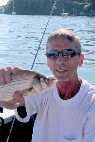 Stephens, William D.