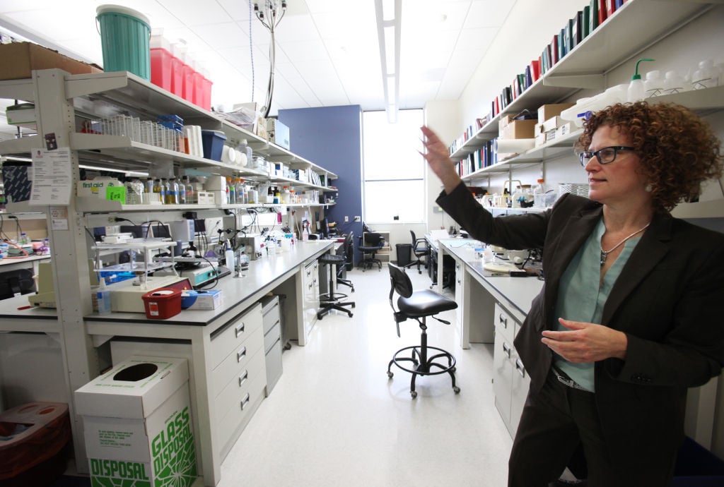 Fetal tissue bills like Wisconsin's are targeting research in at least ...