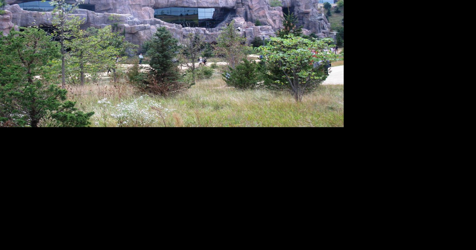 Epic Systems Corp. loses $624 million government contract