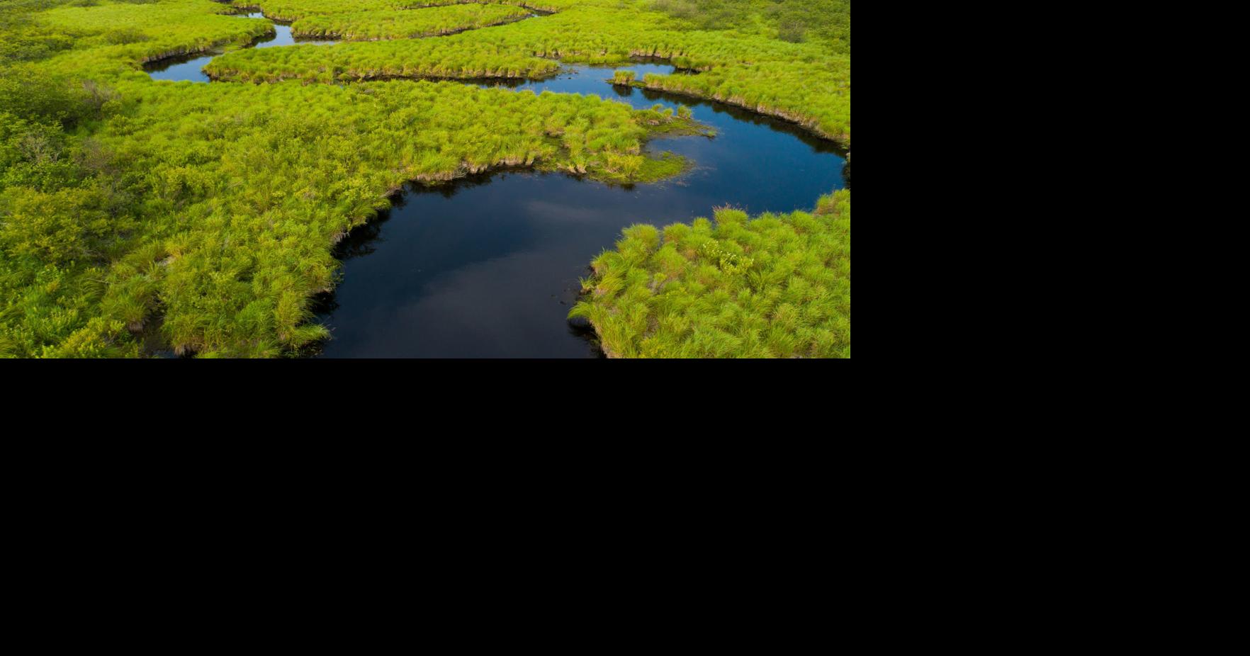 Conservation Fund to preserve 70,000 acres of northern Wisconsin forest